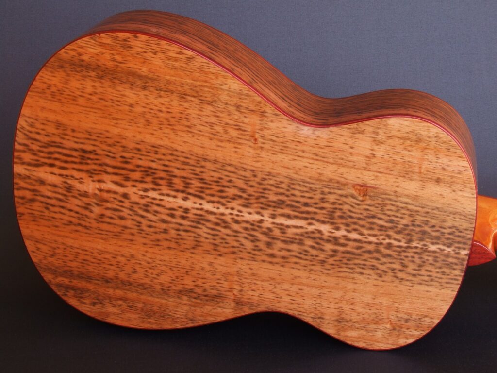 Super Parlour Steel String - Gore Guitars - Luthier & custom guitars